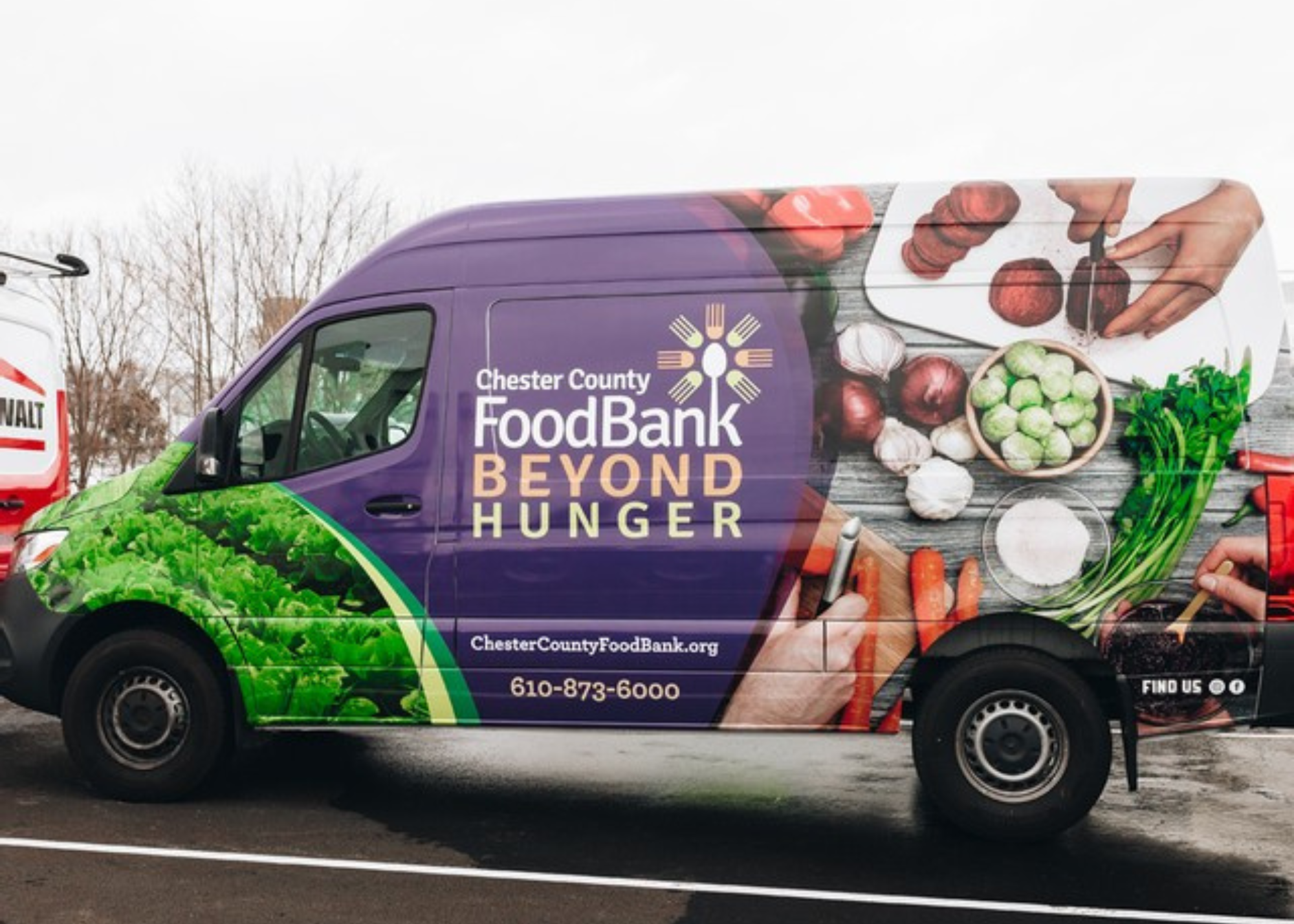 How to Design Effective Fleet Graphics | Cassel Academy